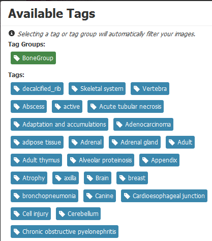 Viewing and adding tags