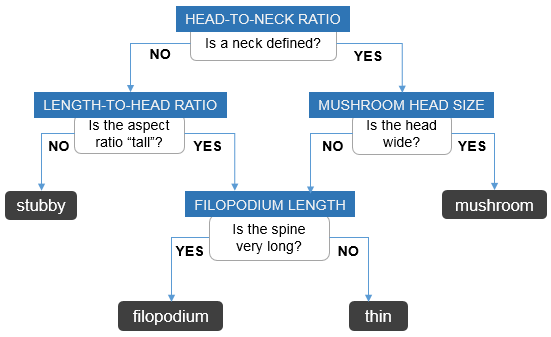 Spine Classification Settings Panel