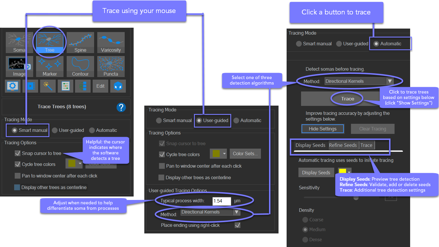 Neurolucida 360 windows