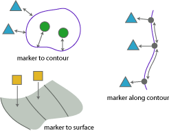 Marker and Region Analysis