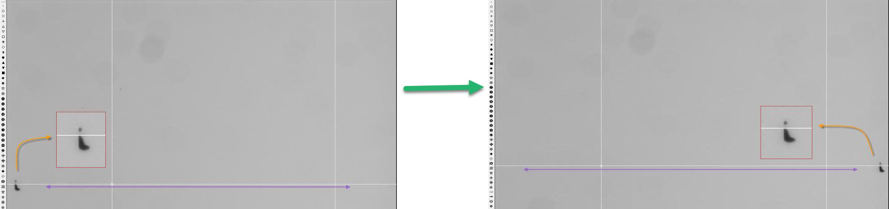 Camera-stage alignment