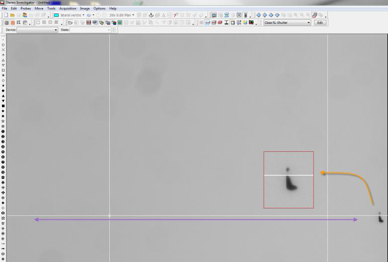 Camera/stage alignment